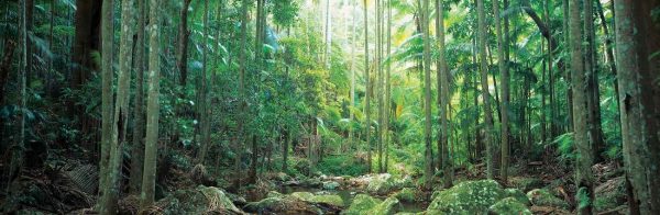 Tweed Shield Volcano and Caldera